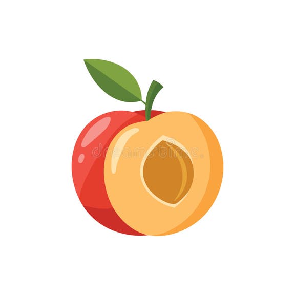 Fresh Nectarine or Peach Fruit Icon Style Vector Illustration for Decor ...