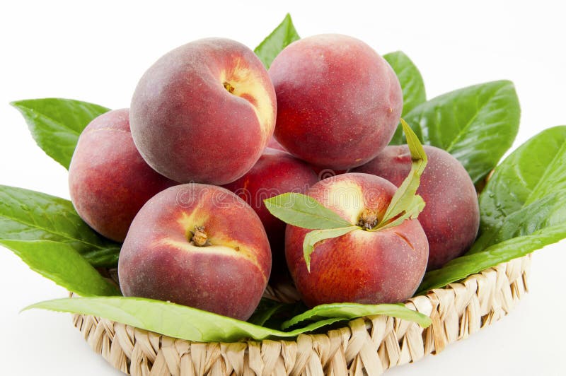Fresh nectarines stock image. Image of tree, kids, kitchen - 25395229