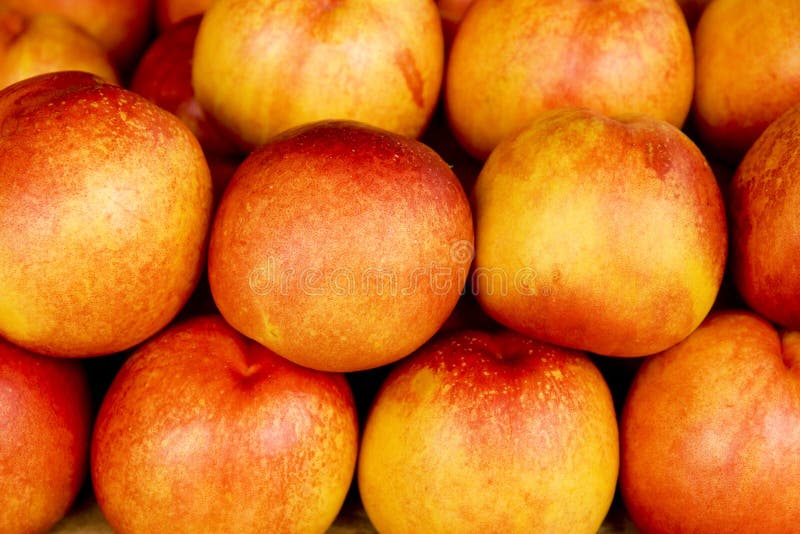 Fresh Nectarines stock image. Image of fresh, nutrition - 7609973