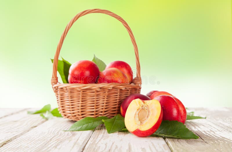Fresh nectarines stock photo. Image of summer, healthy - 32621260
