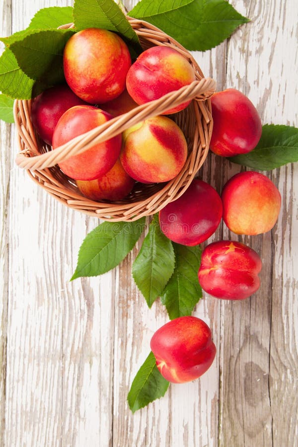 Fresh nectarines stock photo. Image of summer, healthy - 32621260