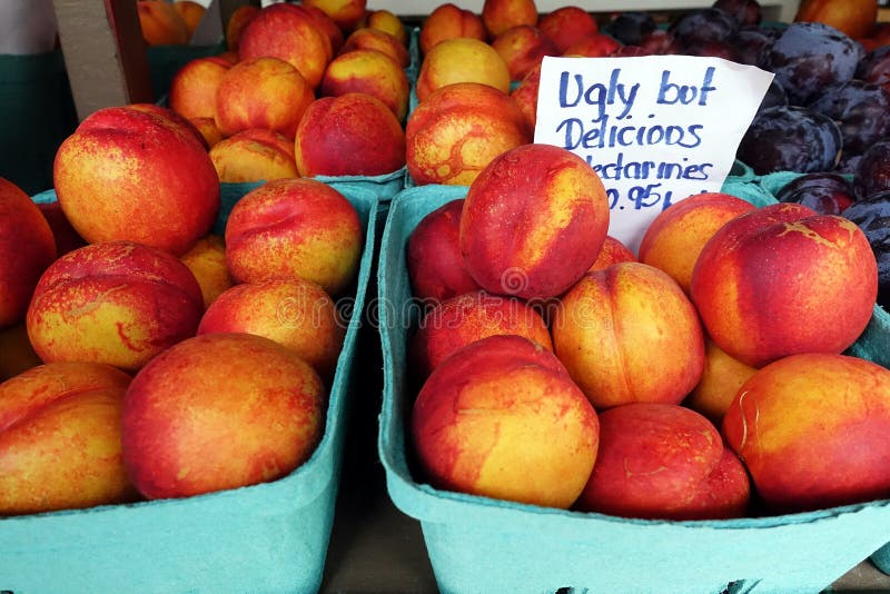 Fresh Nectarines in Small Paper Buckets. Stock Image - Image of ripe ...