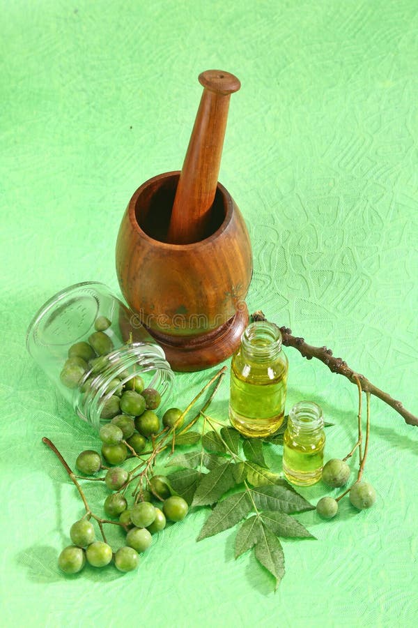 Neem oil stock photo. Image of ayurvedic, refined, neem - 19502426