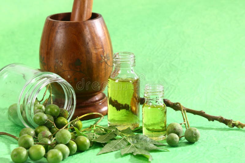 Fresh Neem Leaves with Oil stock image. Image of immune - 99113035
