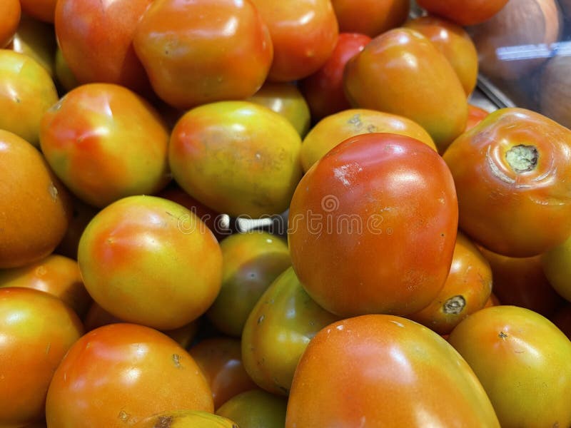 Tomatoes - Buah Tomat stock image. Image of nice, fresh - 215419875