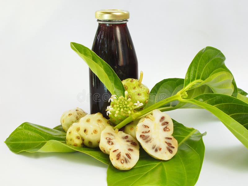 Fresh Noni Fruits with Noni Juice on White Background - Isolated Stock ...