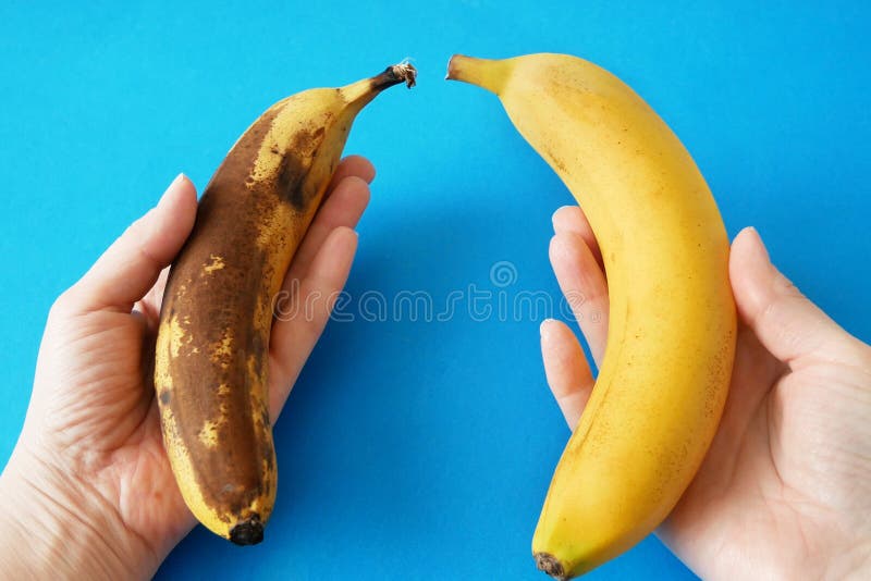 Fresh and Not Fresh Organic Bananas in Hands, Closeup, Concept Stock ...