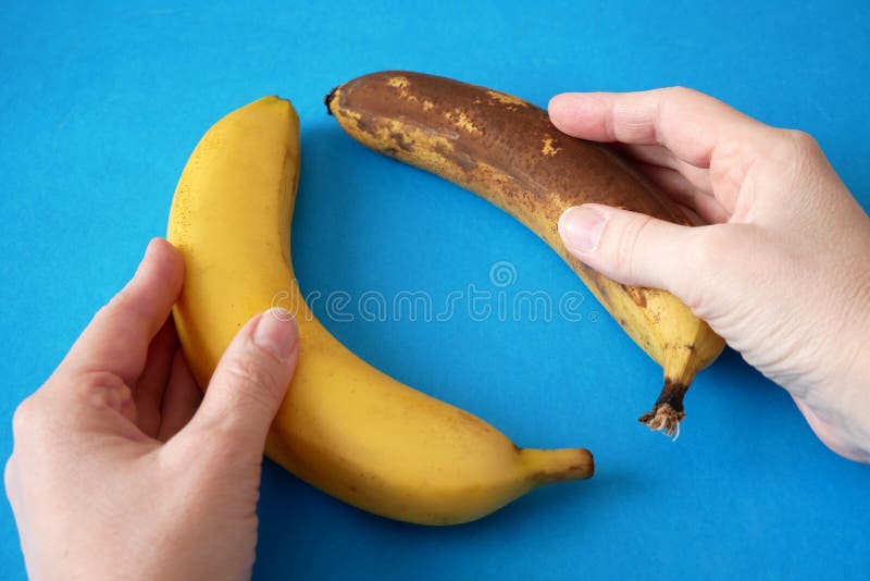 Fresh and Not Fresh Organic Bananas in Hands, Closeup Stock Image ...