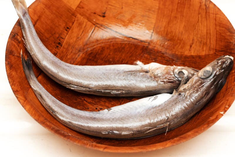 Fresh Note Baked Blue Whiting Fish on Plate. Stock Image - Image of ...