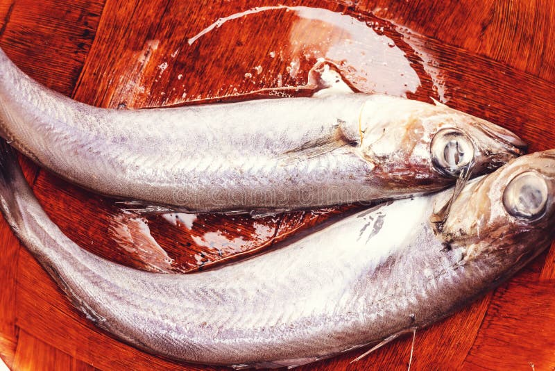 Fresh Note Baked Blue Whiting Fish on Plate Stock Photo - Image of ...