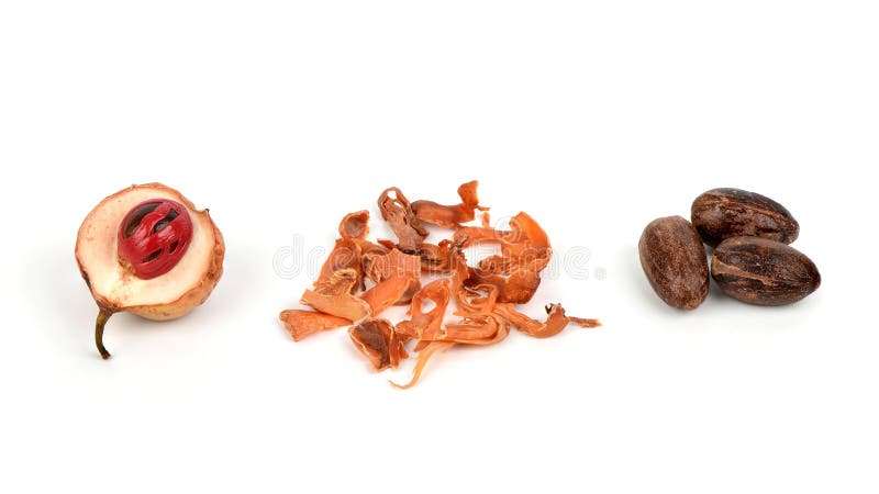 Mace,Nutmeg(Myristi Ca Fragrans Linn) Stock Image - Image of medicine ...