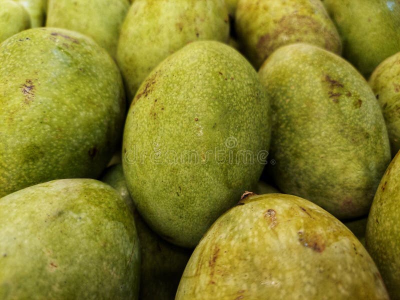 Fresh and Nutritious Mangoes, with a Sweet Taste Stock Photo - Image of ...