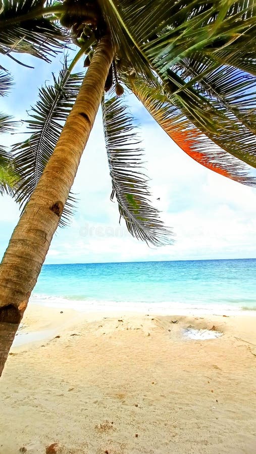 Fresh Ocean breeze stock image. Image of vibrant, breeze - 251991539