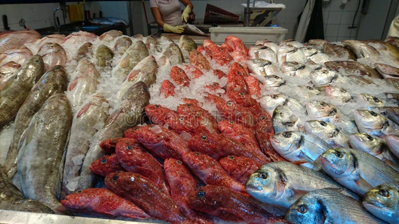 Fresh ocean fish stock image. Image of season, fish, colors - 98370517