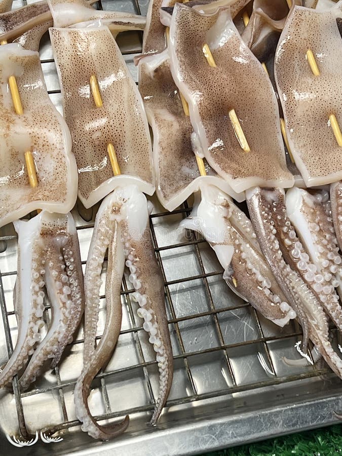 Fresh Octopus on a Counter in the Market Stock Image - Image of ...