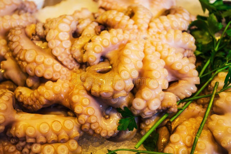 Fresh Octopus on a Fish Market Stock Photo - Image of fishery, ocean ...