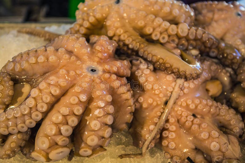 Fresh Octopus on a Fish Market Stock Photo - Image of abstract, pile ...