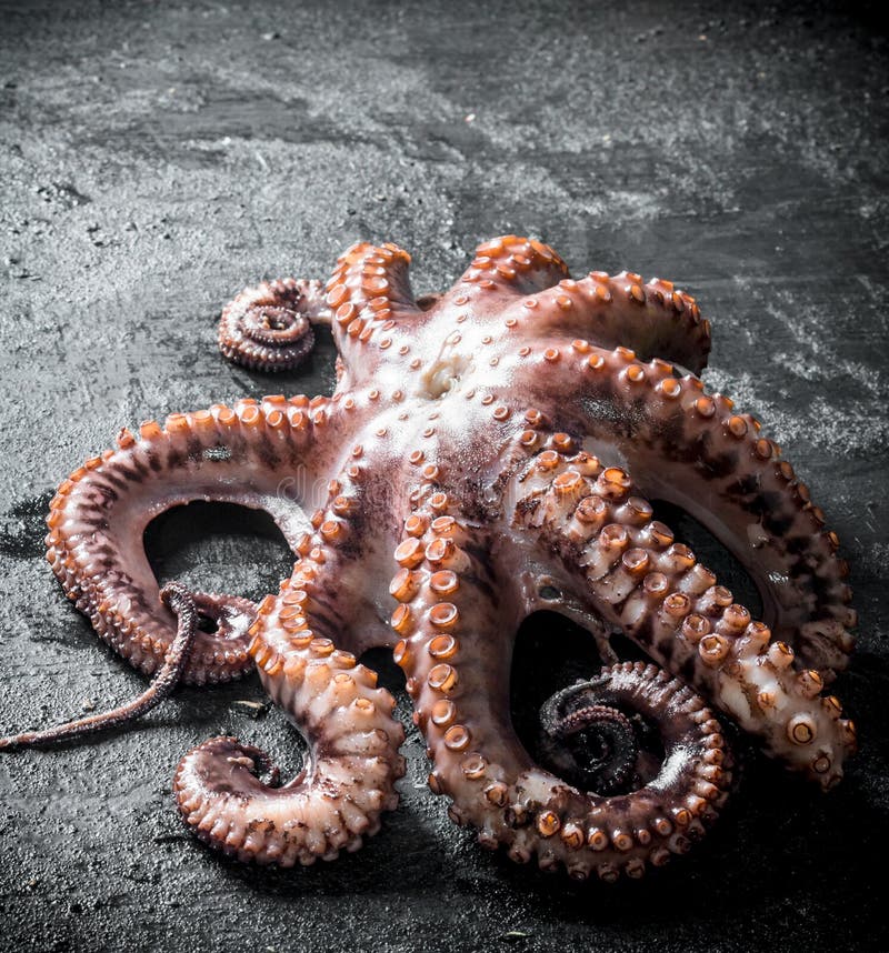1,915 Octopus Leg Stock Photos - Free & Royalty-Free Stock Photos from ...