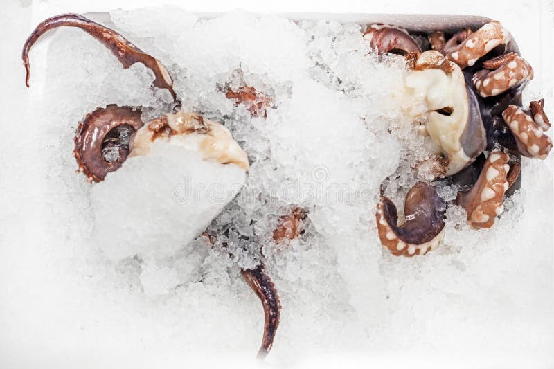 Fresh Octopus on Ice on the Counter in the Supermarket. Stock Image ...