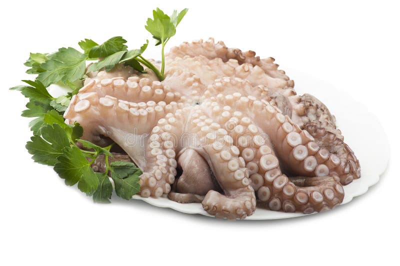 Fresh octopus stock image. Image of cooked, gourmet, nature - 28612495