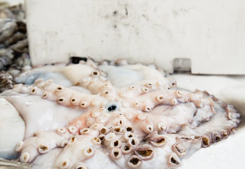 Fresh Octopus at Street Fish Market Stock Image - Image of market, fish ...
