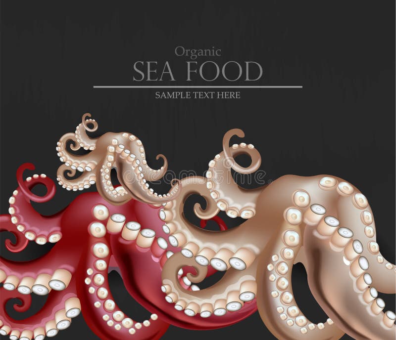 Fresh Octopus Banner Vector Realistic. 3d Detailed Illustrations Stock ...