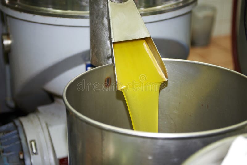 Fresh Oil Flowing in the Bin Stock Image - Image of industrial ...