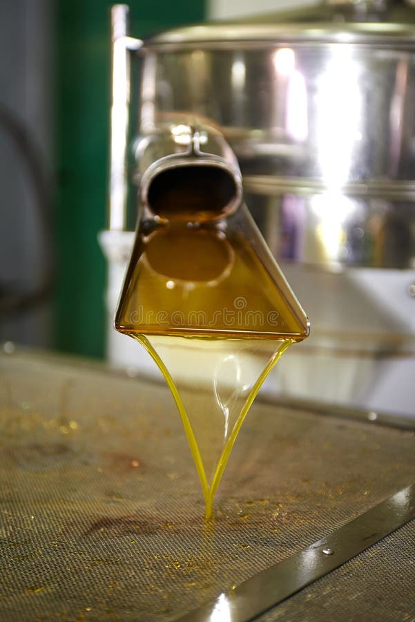 Fresh Oil Flowing in the Bin Stock Photo - Image of processing, adult ...