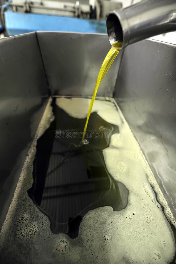 Fresh Oil Flowing in the Bin after Processing at the Mill Stock Image ...