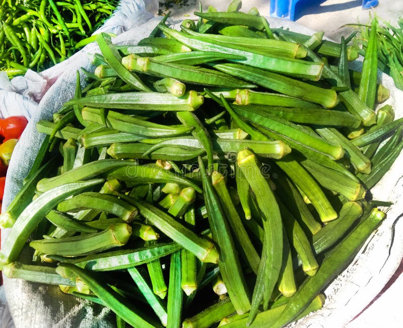 Fresh Okra or Abelmoschus Esculentus in a Bamboo Basket Stock Image ...