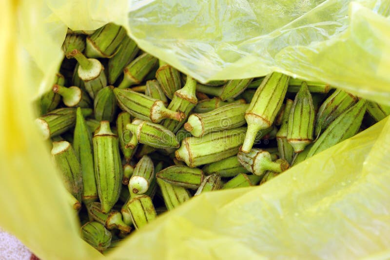 Fresh Okra for Cooking, Okra Plant in a Bag, Okra Grains Stock Photo ...