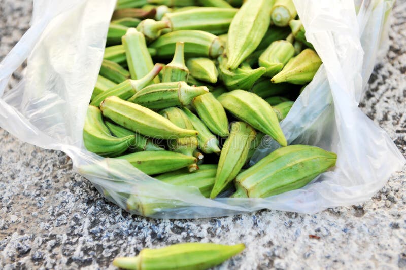 Fresh okra in a nylon bag stock image. Image of heap - 194990295