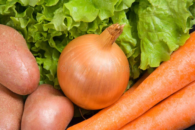 Fresh onion stock photo. Image of salad, onion, carrot - 1643638