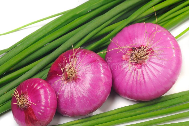 Fresh onion stock photo. Image of ingredient, onion, full - 16646804