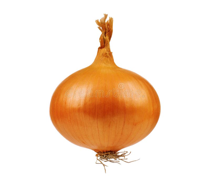 Fresh onion stock image. Image of closeup, grocery, peel - 21427843
