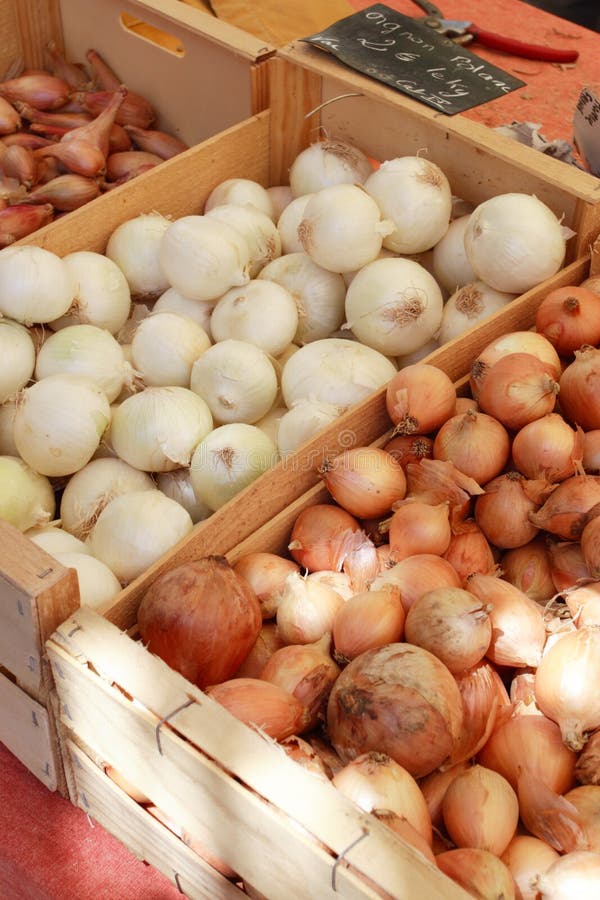 Fresh onion stock image. Image of vegetal, fresh, closeup - 6938471