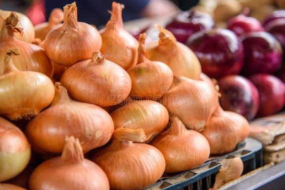 Fresh onion at the market stock image. Image of close - 115636429