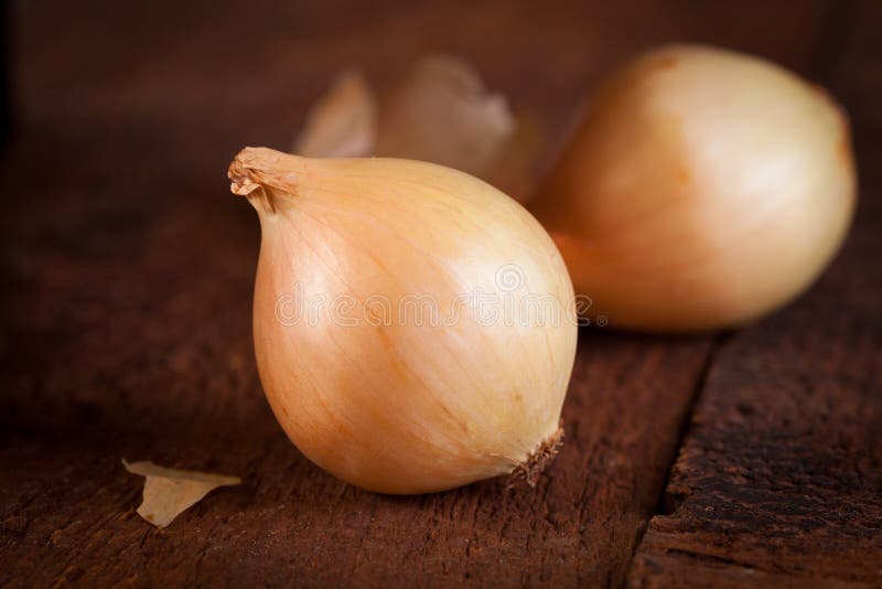 Fresh onion stock photo. Image of rural, spice, white - 32886096