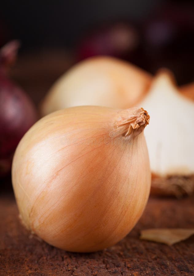 Fresh onion stock photo. Image of ingredient, vegetarian - 32919372