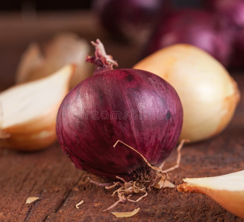 Fresh onion stock photo. Image of white, shallot, yellow - 35660812