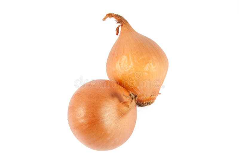 Onion stock image. Image of color, bulb, fresh, nutrition - 28144923