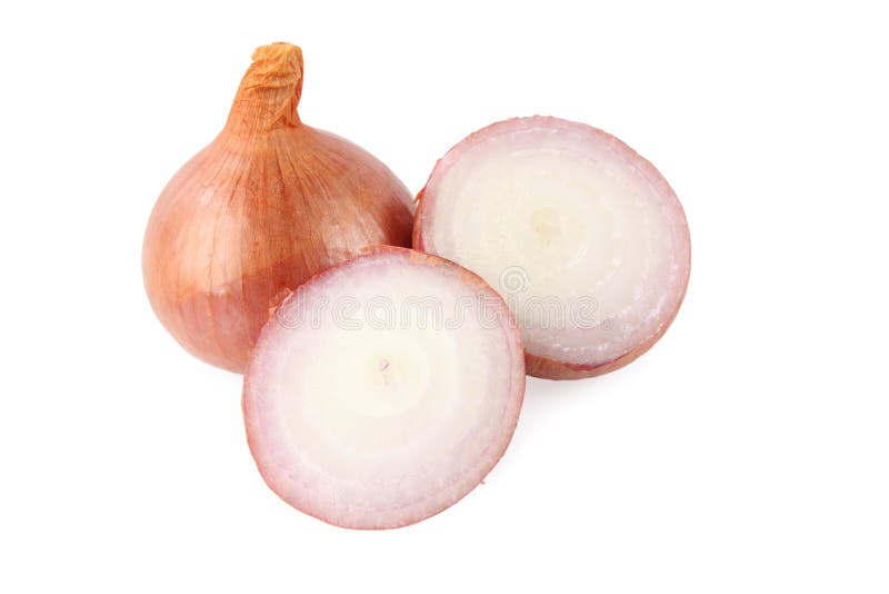 Fresh onions stock image. Image of round, meal, closeup - 15795549