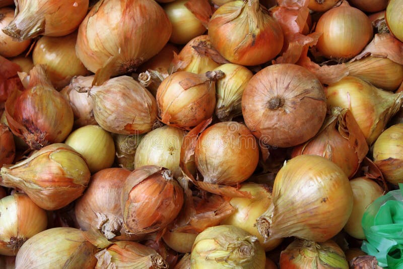 Fresh onions stock image. Image of flavor, market, bulb - 20910165