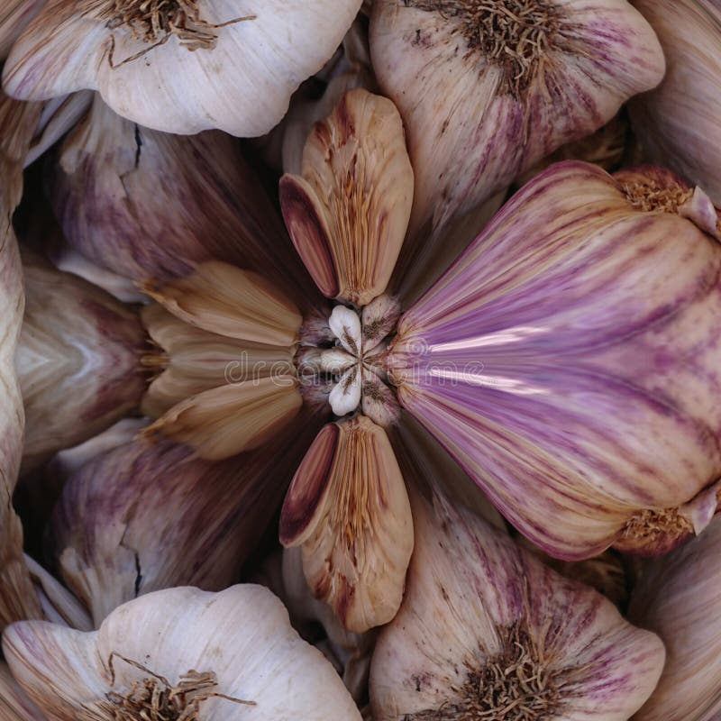 Fresh Onions Abstract Paint Art Stock Image - Image of fresh, onions ...