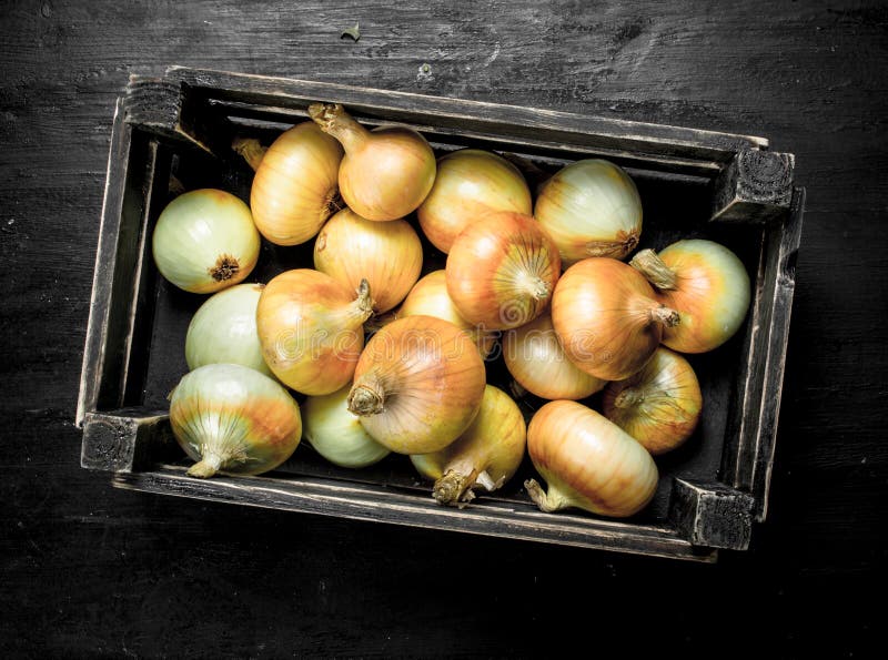 Fresh Onions in an Old Box. Stock Photo - Image of bulb, organic: 107014416