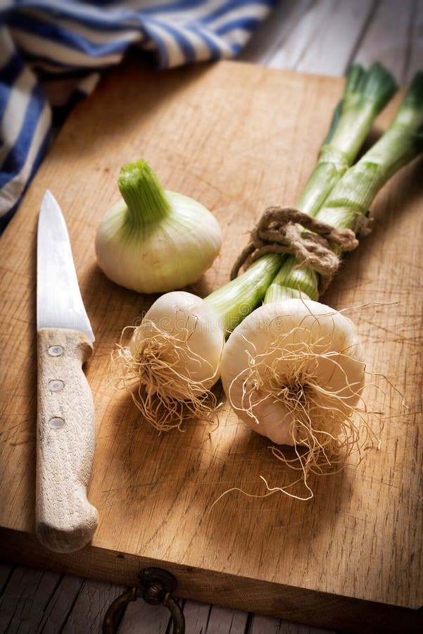 Fresh onions with stems stock photo. Image of stems, onion - 90374972