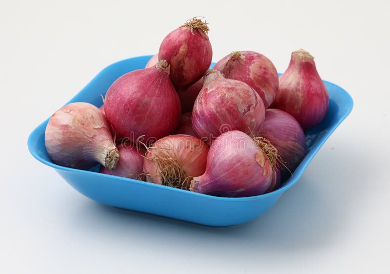 Fresh onions stock photo. Image of healthy, vegetables - 90737012