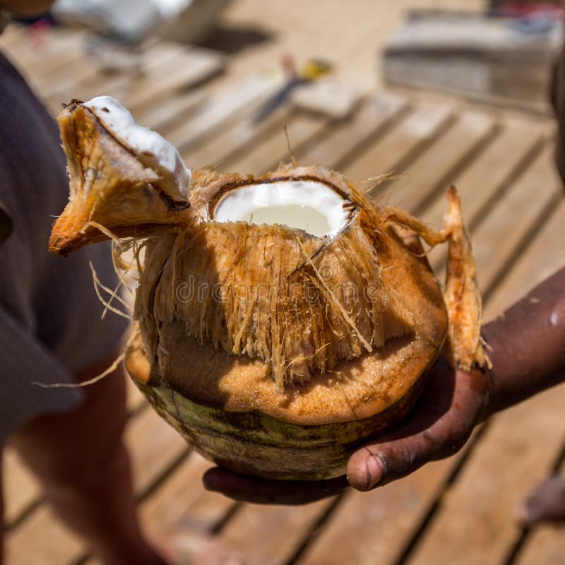 Fresh and Open Coconut, Close-up Stock Photo - Image of colorful ...