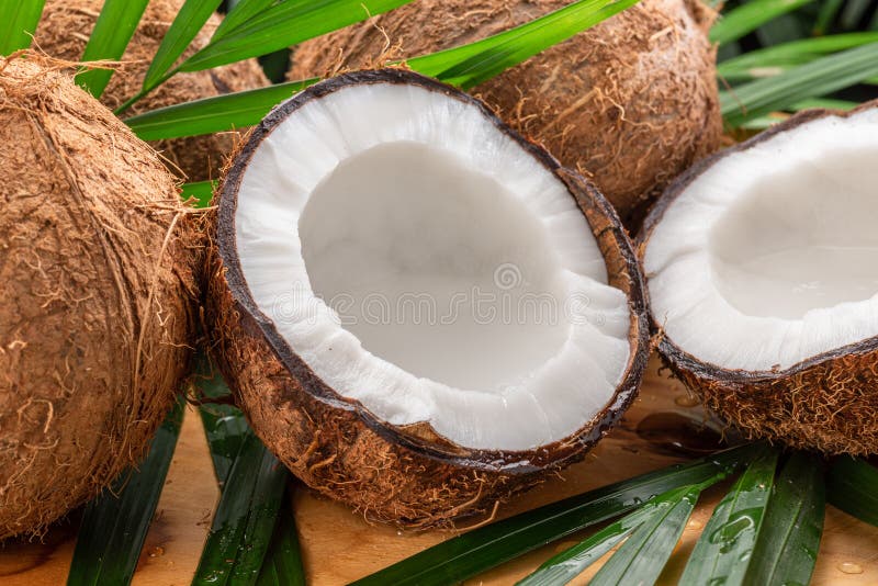 Fresh Opened Coconuts Along with Whole Coconuts and Coconut Leaves on a ...