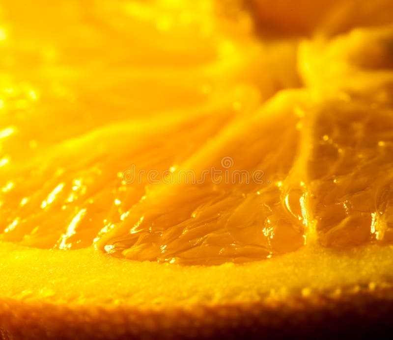 Lemon anatomy stock image. Image of citron, juice, anatomy - 165815